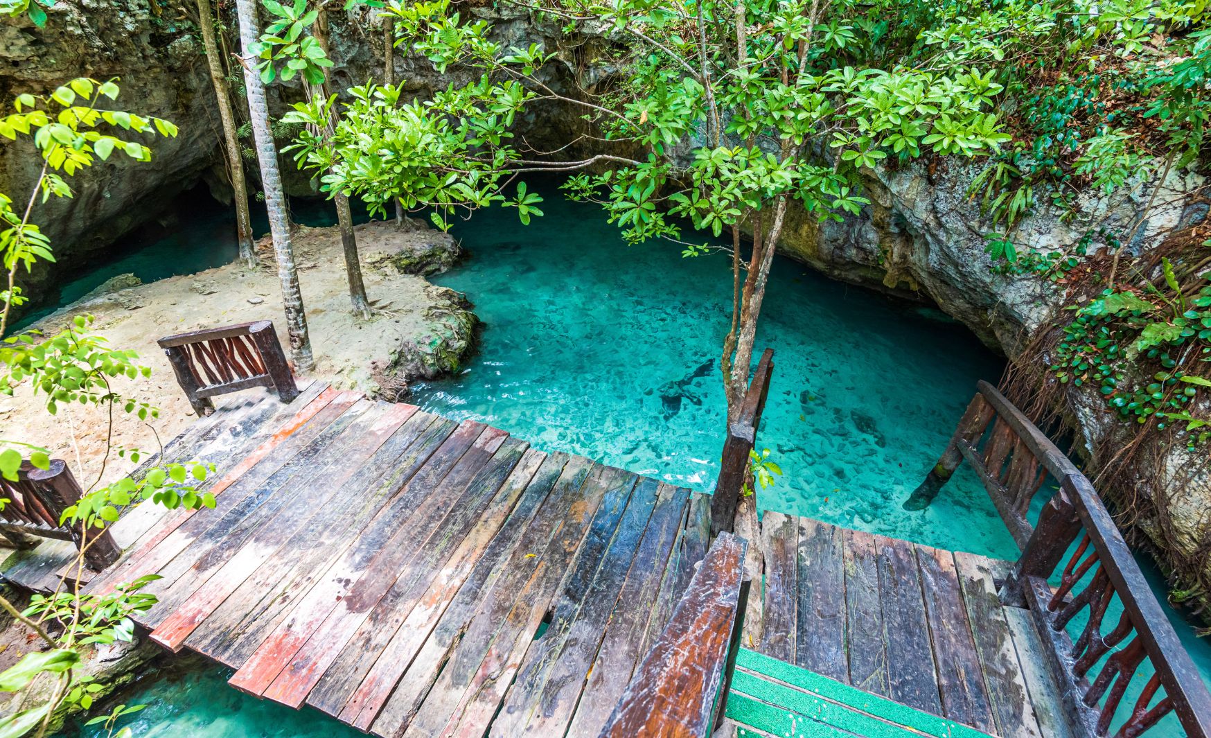 9 cenotes de Tulum que debes visitar: Precio, horario y fotos